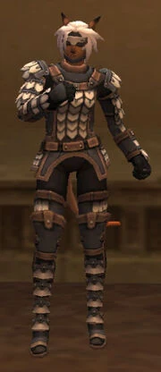 Bastokan Scale Mail Set | Classic FFXI community | Fandom