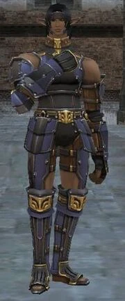 Warrior's Armor +1 Set | Classic FFXI community | Fandom