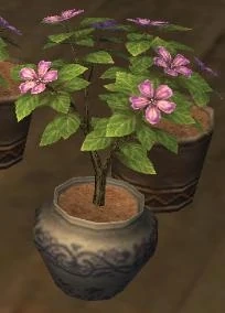Gardening/Fruit Seeds Recipes | Classic FFXI community | Fandom