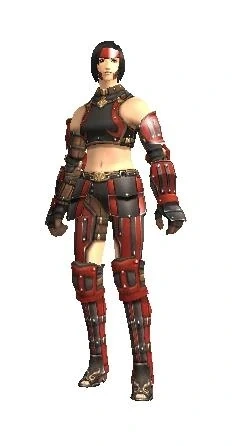 Fighter's Armor +1 Set | Classic FFXI community | Fandom