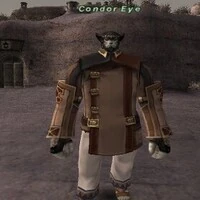 Condor Eye | Classic FFXI community | Fandom