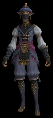Magus Attire +1 Set | Classic FFXI community | Fandom