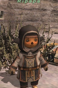 Ripapa | Classic FFXI community | Fandom