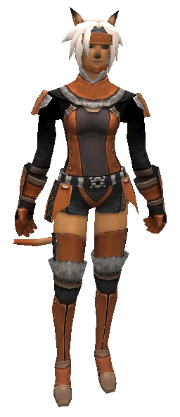 Coeurl Jerkin Set | Classic FFXI community | Fandom