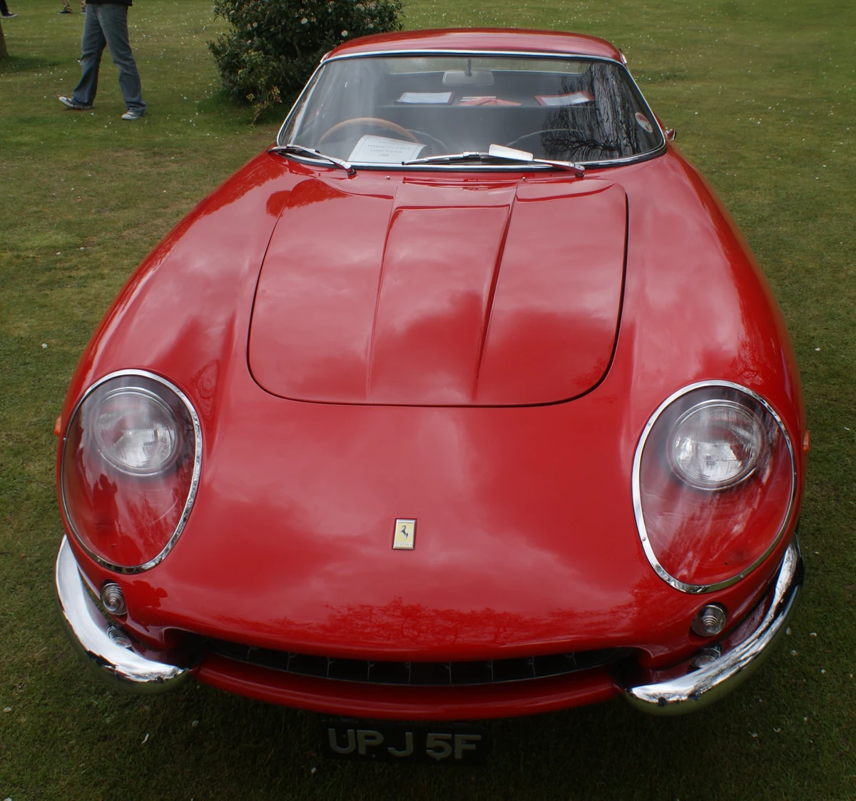 Ferrari 275 | Classic Cars Wiki | Fandom