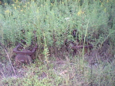 Field Disk | Classic Cars Wiki | Fandom