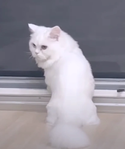 Gyeoul | CLASSY Wiki | Fandom