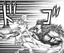 Rigardo | Claymore Wiki | Fandom