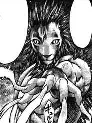 Rigardo | Claymore Wiki | Fandom