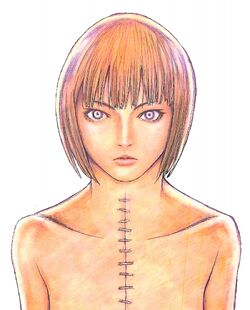 Claymore | Claymore Wiki | Fandom