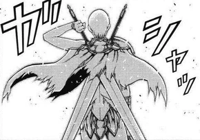 Claymore (Spada) | Claymore Wiki Italia | Fandom