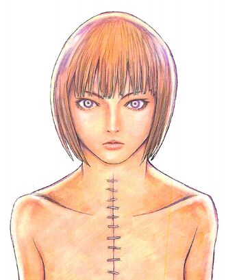 Stigma | Claymore New Wiki | Fandom