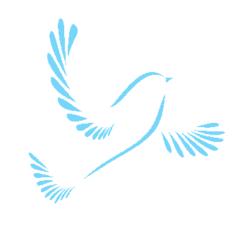 Party for Freedom | Clever Wiki | Fandom