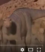 Neera (Disney Dinosaur) | CleverClaire99 Wiki | Fandom