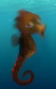 Sheldon (Finding Nemo) | CleverClaire99 Wiki | Fandom