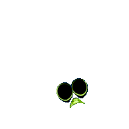 Climbonians List | The climbodians Wiki | Fandom