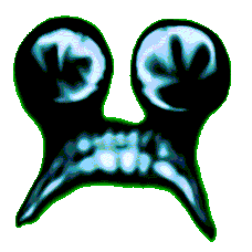 Climbonians List | The climbodians Wiki | Fandom