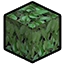 Meranti Leaf - Official Cube Life: Island Survival Wiki