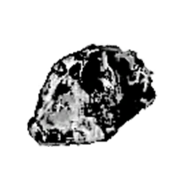 Weeping Stone | Clock Tower Wiki | Fandom