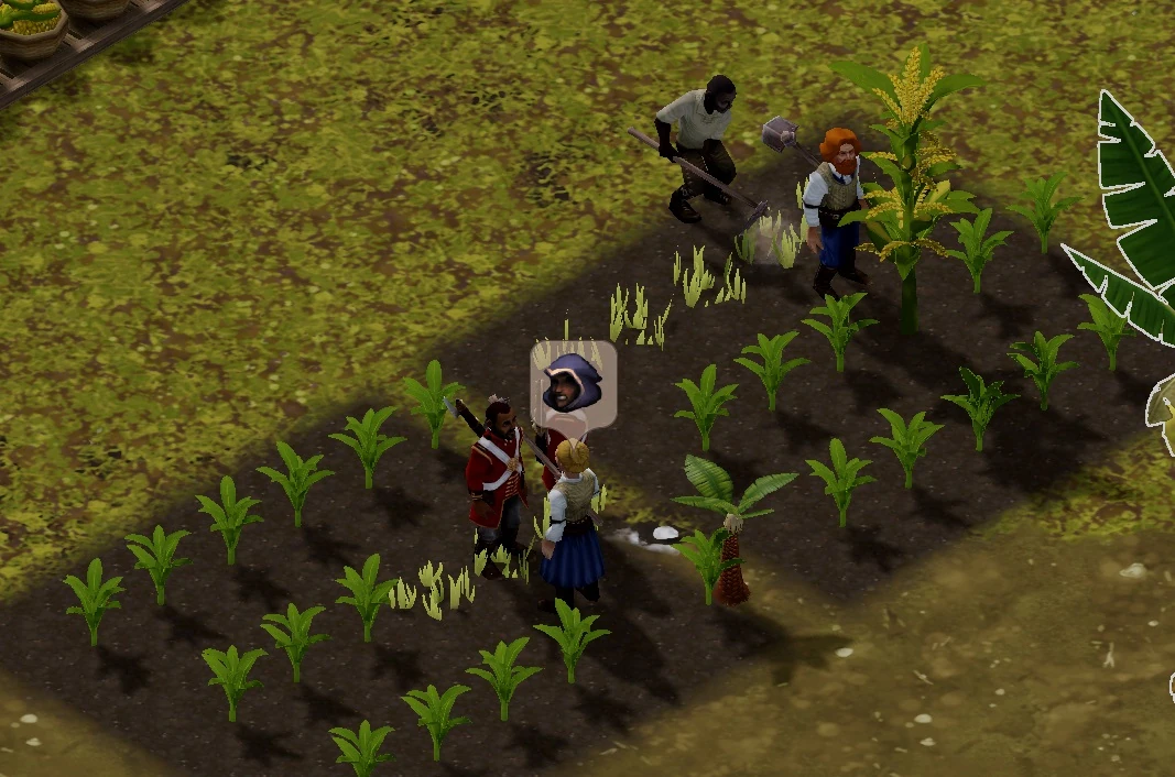 Maize Field - Official Clockwork Empires Wiki