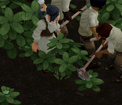 Lingonberry Field - Official Clockwork Empires Wiki