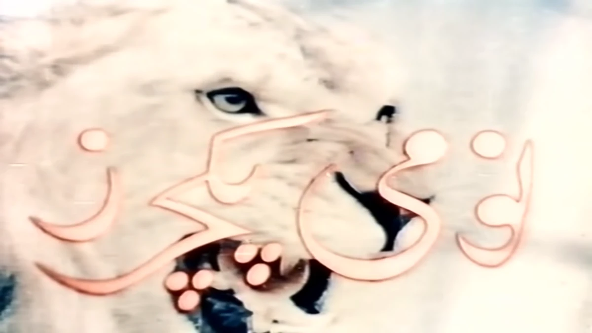 Noumi Pictures (Pakistan) | Closing Logo Group | Fandom