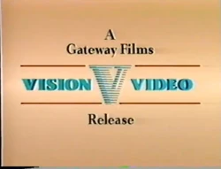 Video Vision Logo