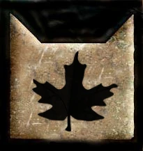 Birchclan | Cloudheart's Fanclans Wiki | Fandom