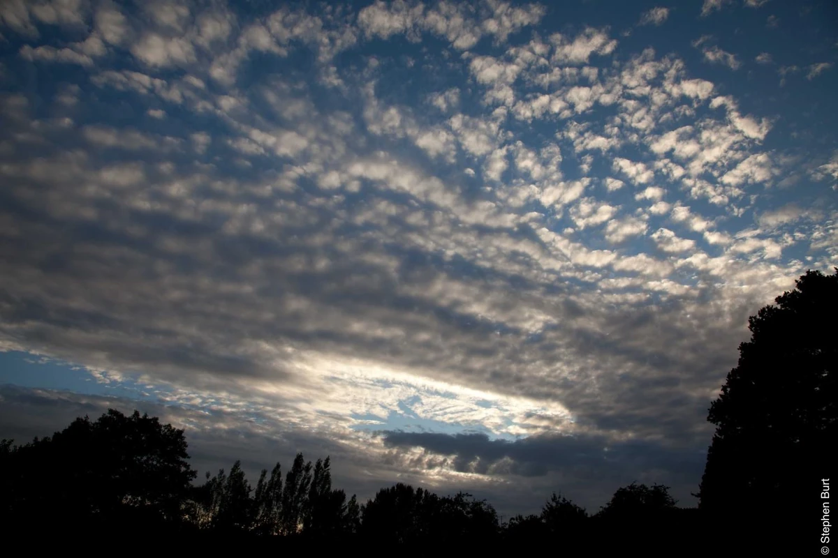 Altocumulus radiatus | Cumulopedia | Fandom