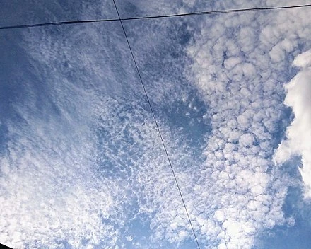 Altocumulus lacunosus | Cumulopedia | Fandom