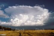 Cumulonimbus incus | Cumulopedia | Fandom