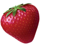 Foodimal Funimal | Cloudy with a Chance of Meatballs Wiki | Fandom
