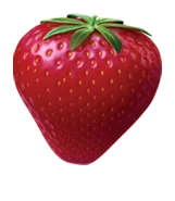 Foodimal Funimal | Cloudy with a Chance of Meatballs Wiki | Fandom