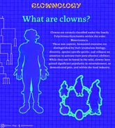 Clowns 101 | Clownology Wiki | Fandom
