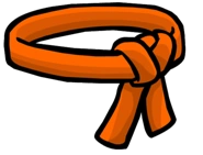 Orange Belt | Club Ninja Wiki | Fandom