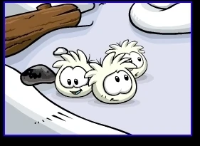 White Puffle | Club Penguin Puffle Wiki | Fandom