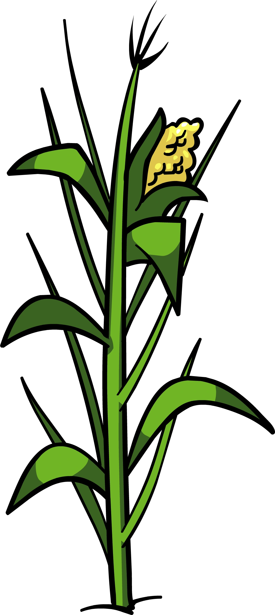 Corn | Club Penguin Rewritten Wiki | Fandom