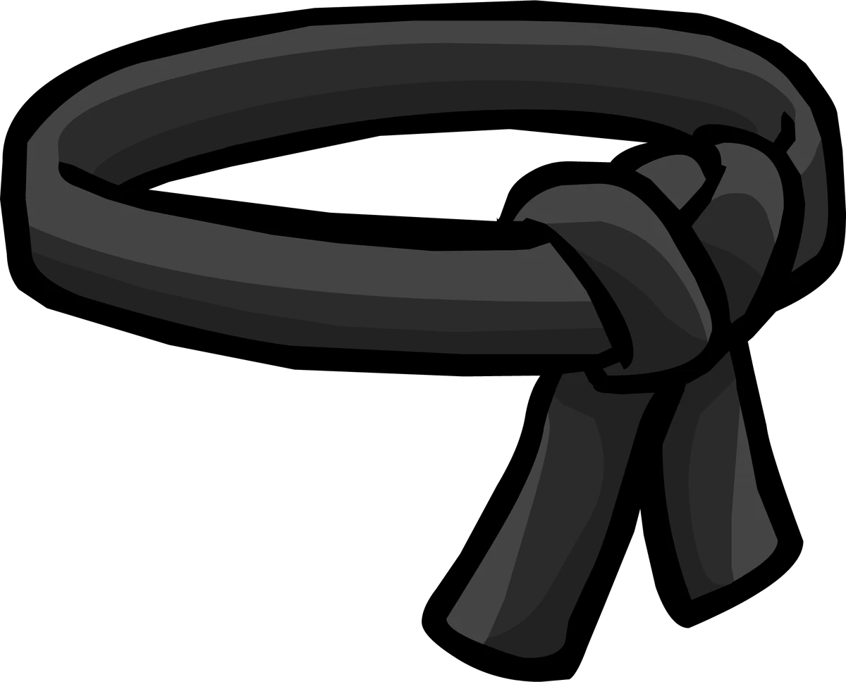 Black Ninja Belt | Club Penguin Rewritten Wiki | Fandom