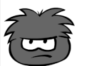 Black Puffle | Club Penguin Rewritten Wiki | Fandom