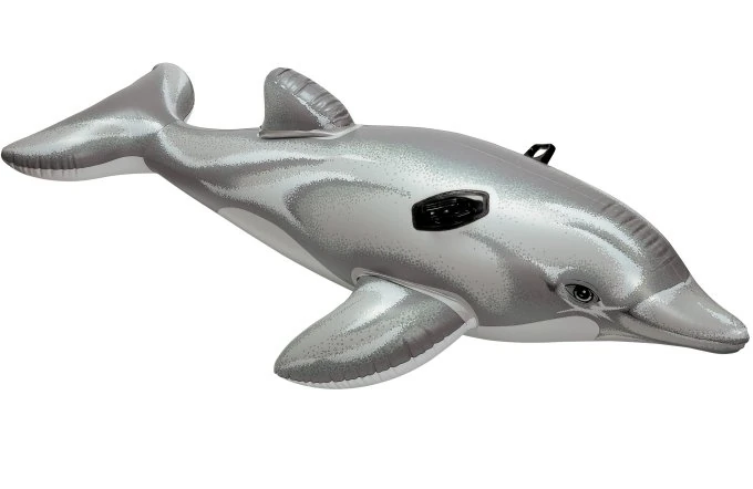 Gray dolphin | Club penguin water party Wiki | Fandom