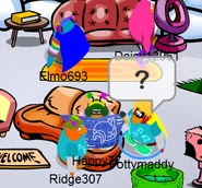 Happy77 | Club Penguin Wiki | Fandom
