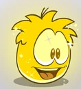Gold Puffle | Club Penguin Wiki | Fandom