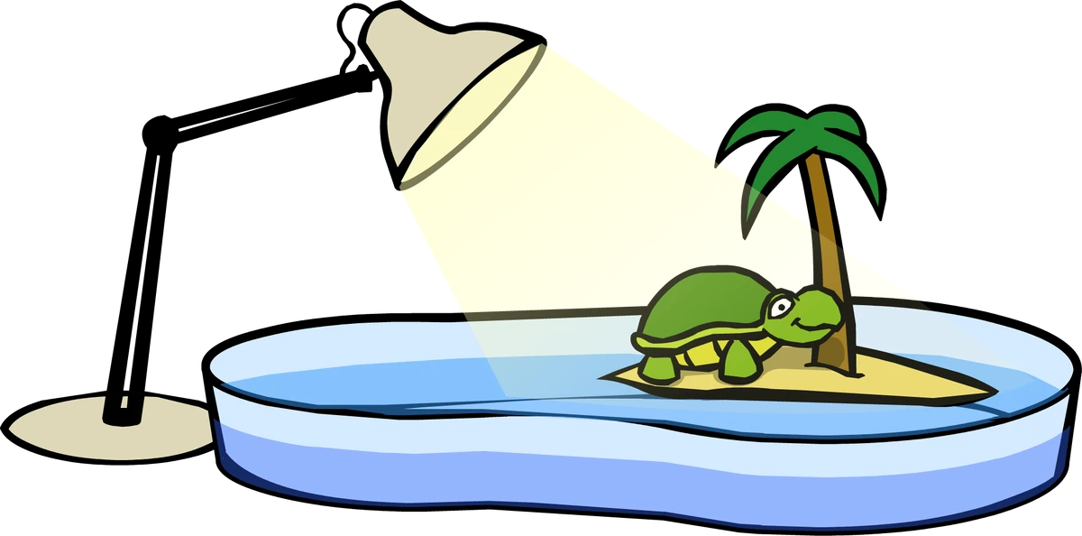Turtle | Club Penguin Wiki | Fandom