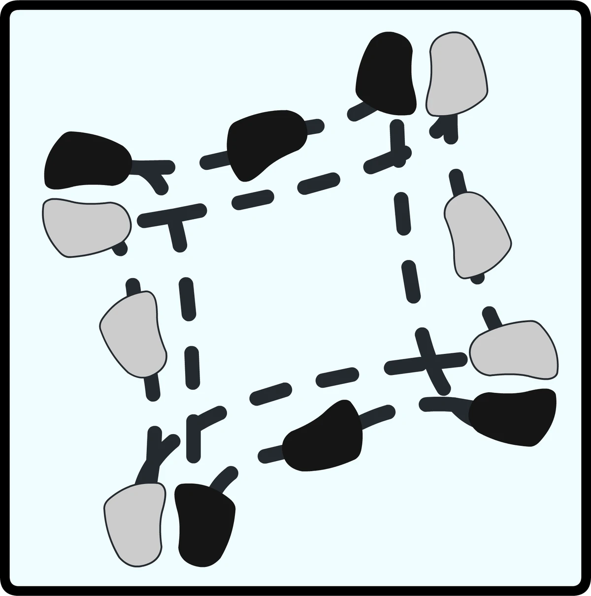 Painted Dance Steps | Club Penguin Wiki | Fandom