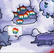 Puffle | Club Penguin Wiki | Fandom