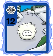 Card-Jitsu | Club Penguin Wiki | Fandom