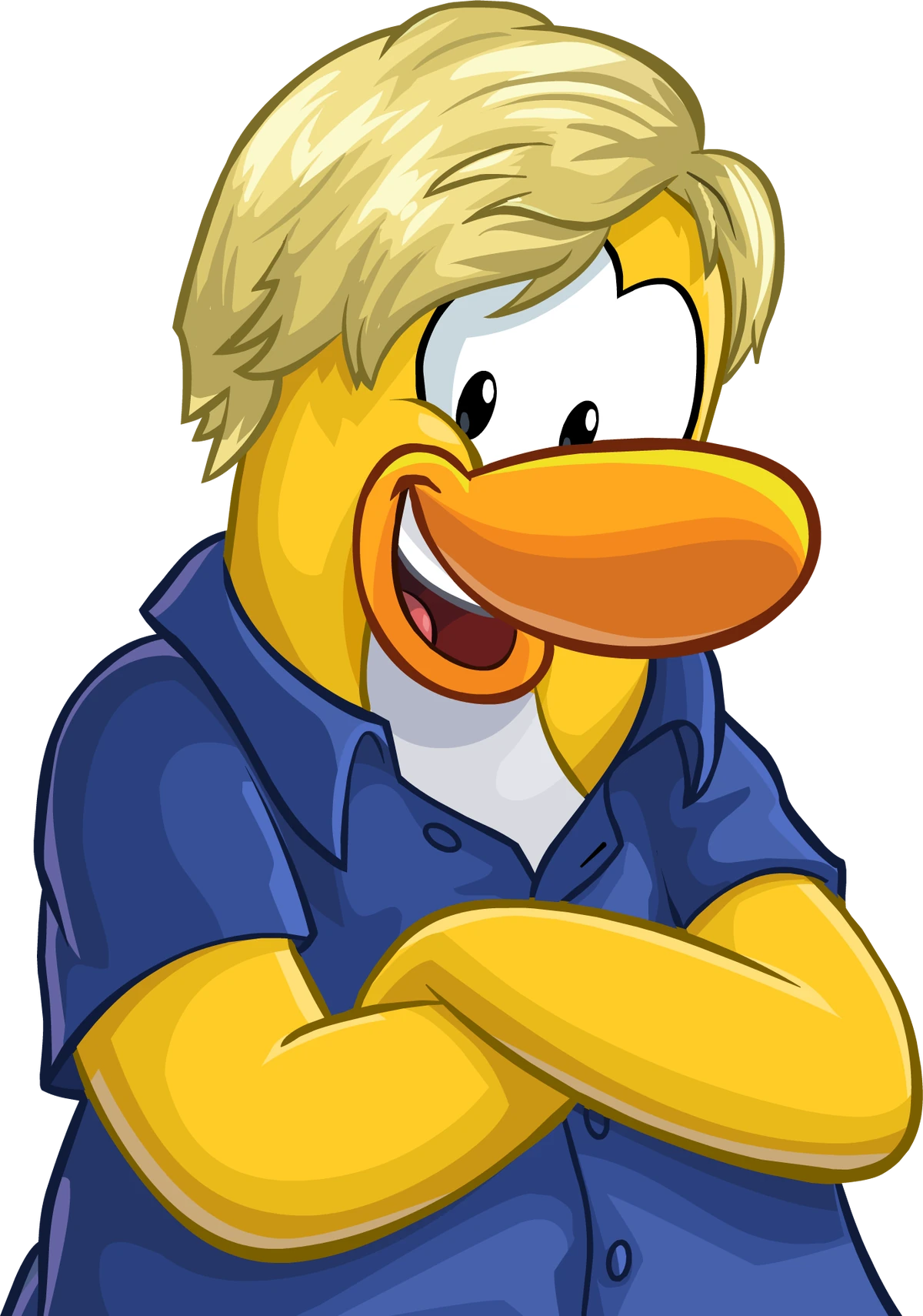 Brady (item) | Club Penguin Wiki | Fandom