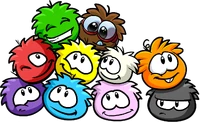 Puffles | Club Penguin Wiki | Fandom