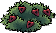 Puffle | Club Penguin Wiki | Fandom