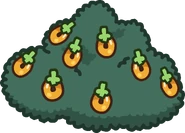 Puffle | Club Penguin Wiki | Fandom